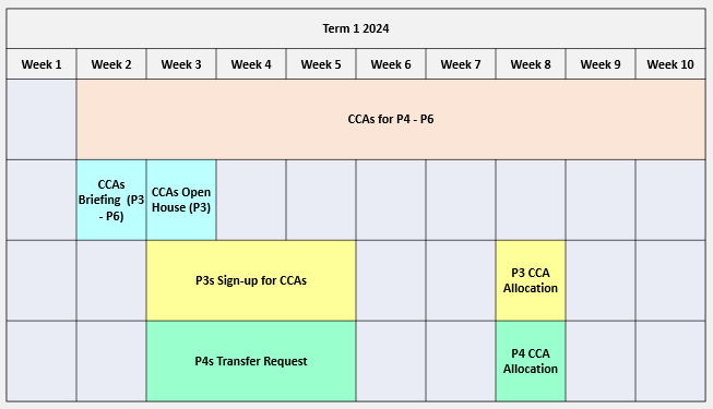 Co Curricular Activities (CCA)